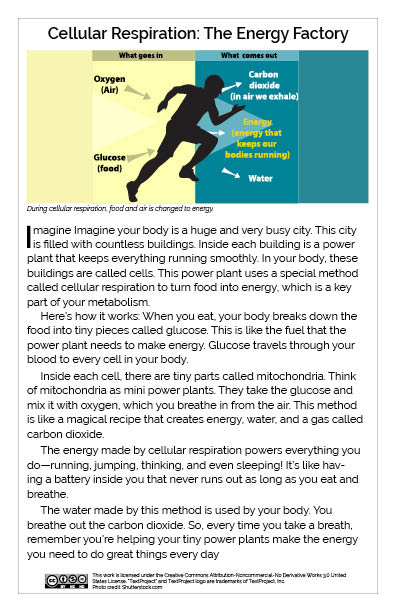 contextual-dynamics4 – TextProject