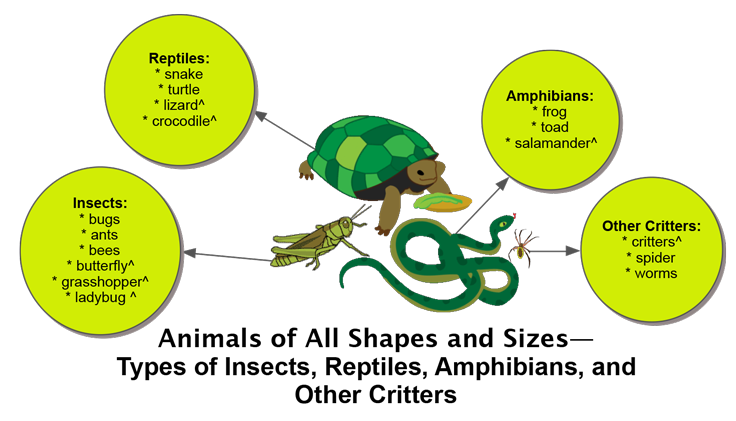 Animals – TextProject