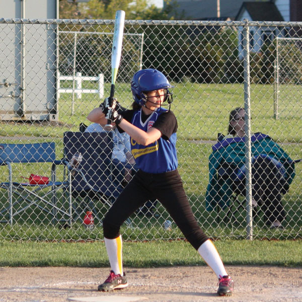 Bats in Sports - TextProject